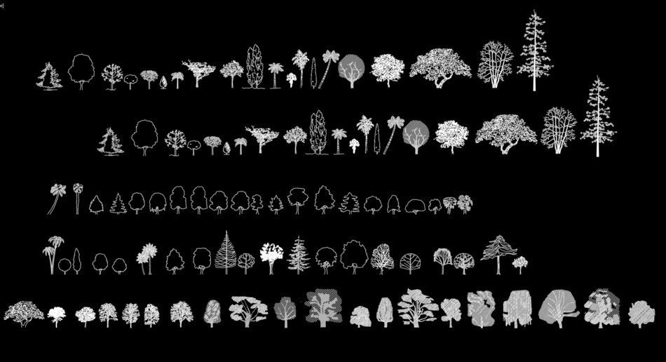 8. Trees in elevation AutoCAD blocks free download | Free Cad Blocks ...