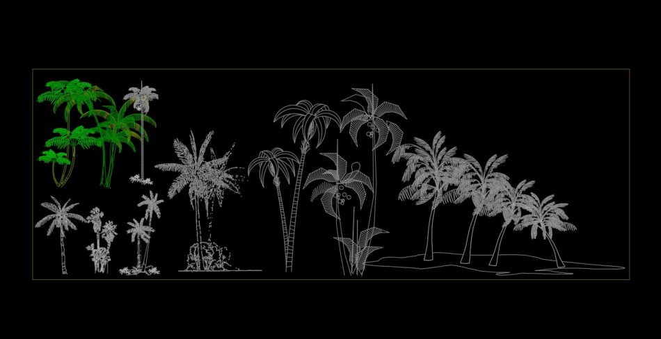 Areca catechu AutoCAD blocks free download