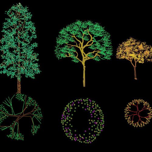 Trees in elevation 3 AutoCAD blocks free download