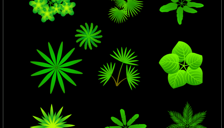 23.A set of trees and shrubs color top view AutoCAD blocks - Free Cad ...