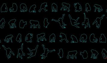 Animals - Free Cad Blocks, download DWG models for architects ...