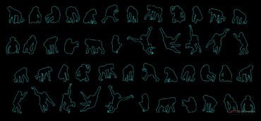 6.Chimpanzees AutoCAD Blocks Free Download