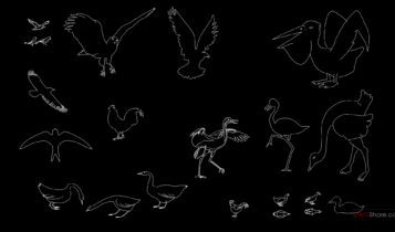 Animals - Free Cad Blocks, download DWG models for architects ...