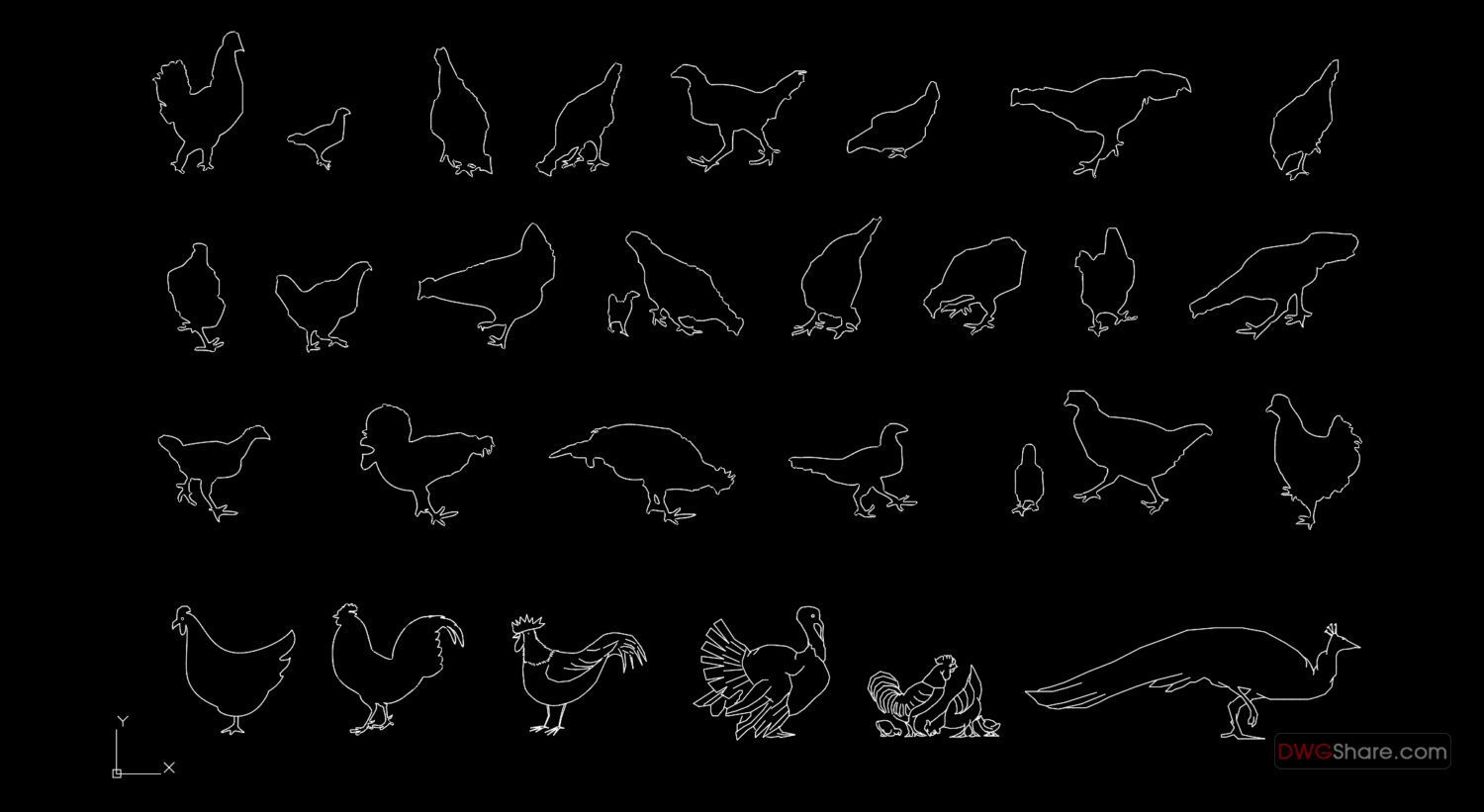 11.Birds set free AutoCAD drawings