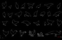 10.Birds free AutoCAD drawings