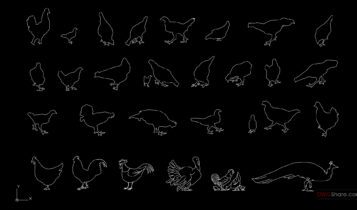 Birds Archives - Free Cad Blocks, download DWG models for architects ...