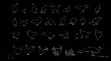11.Birds set free AutoCAD drawings