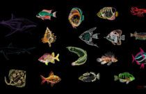 3.Animals AutoCAD Blocks Free Download