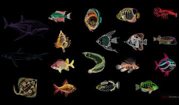 Sea fish Archives - Free Cad Blocks, download DWG models for architects ...