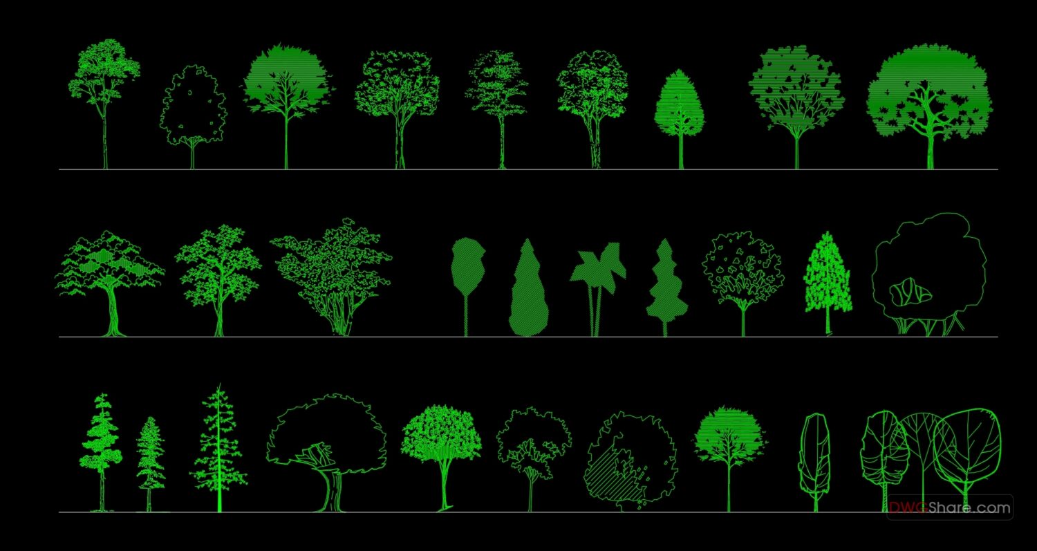 27.Deciduous Trees CAD Blocks