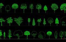 23.A set of trees and shrubs color top view AutoCAD blocks