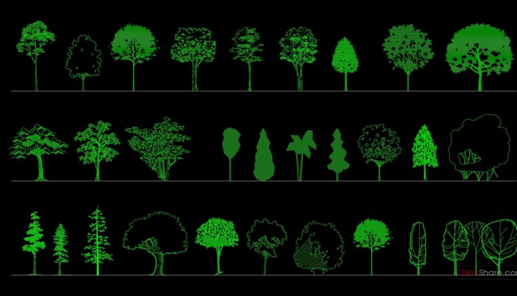 27.Deciduous Trees CAD Blocks - Free Cad Blocks, download DWG models for architects, designers ...