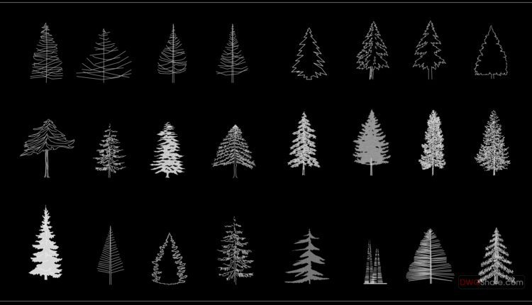 28.Coniferous Trees CAD Blocks - Free Cad Blocks, download DWG models ...