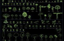 38.Autocad drawings of various types of bonsai trees