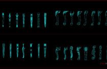 Furniture Legs Cad Blocks Free Download