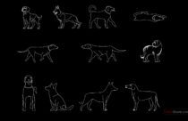 3.Animals AutoCAD Blocks Free Download