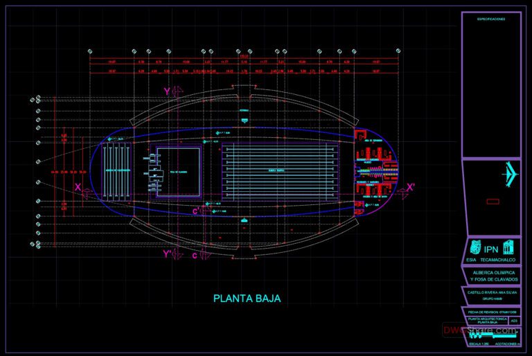 Detailed Olympic Swimming Pool Project Autocad drawings