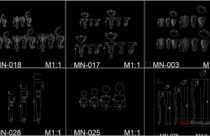 96.Clothes Cad Blocks Free Download