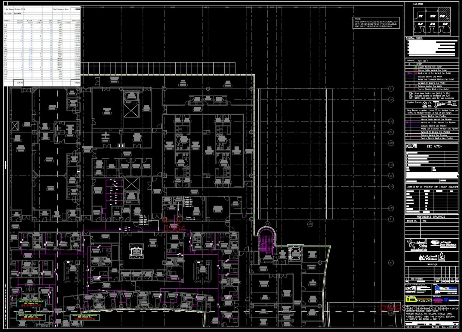 Medical and Research Center Hospital Layout Plan AutoCAD File DWG