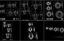610. Free Download CAD Details for Bridge Columns and Plinth Beams