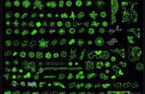 25.Trees AutoCAD blocks free download