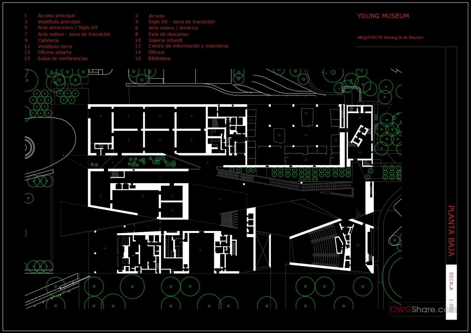 Young museum AutoCAD File DWG