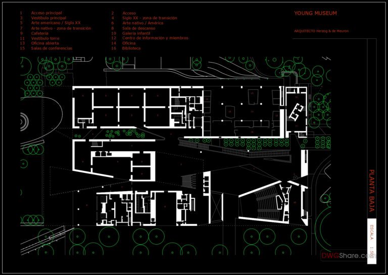 Young museum AutoCAD File DWG