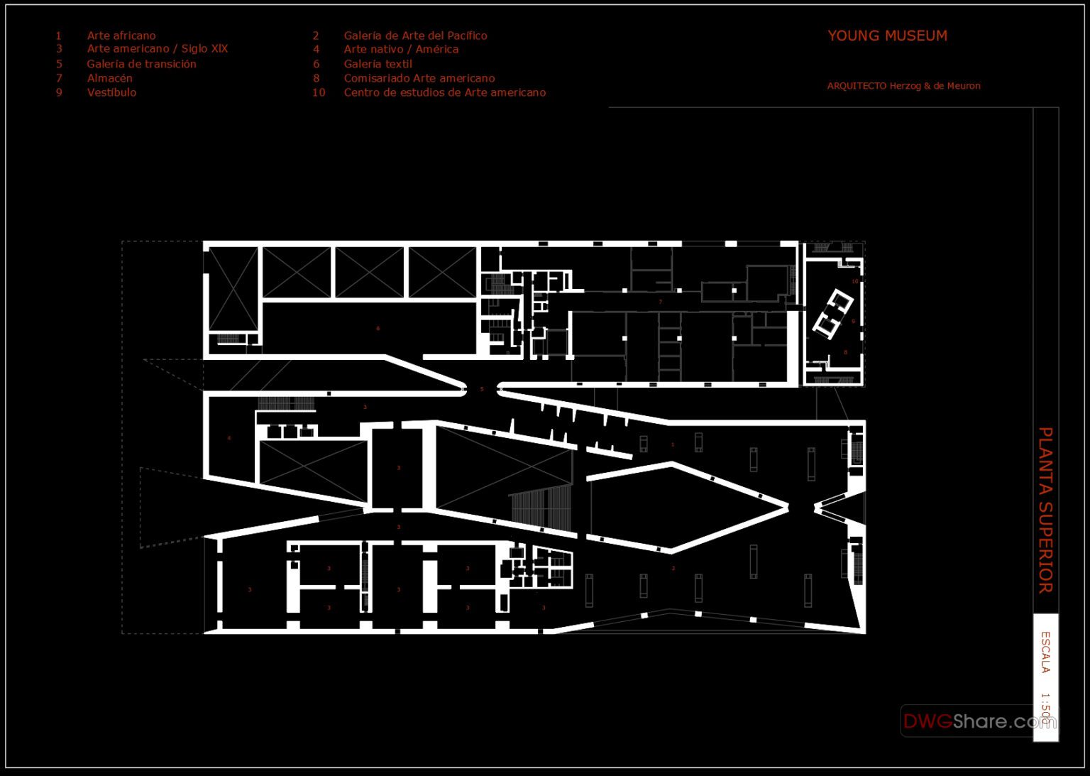 Young museum AutoCAD File DWG