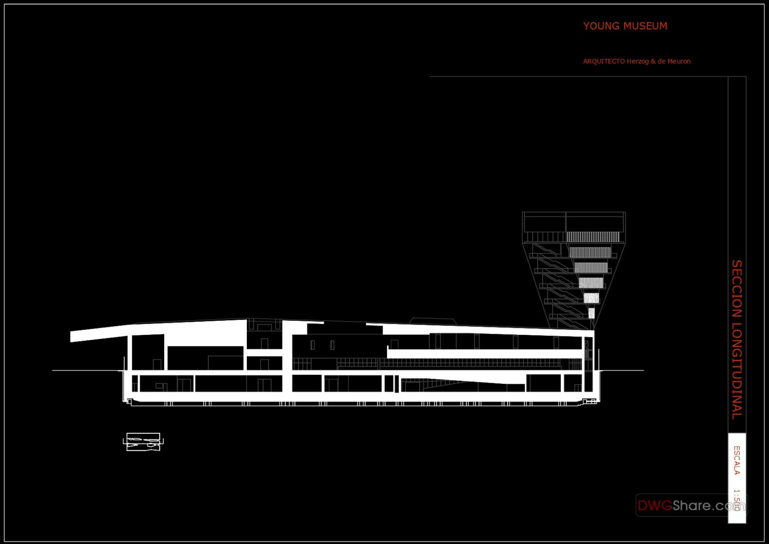 Young museum AutoCAD File DWG