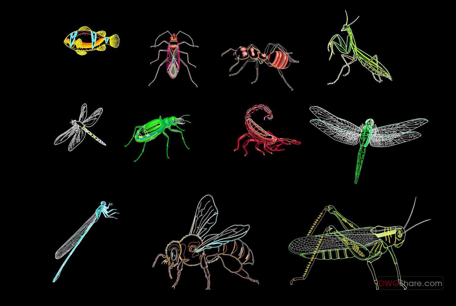 19.Animals CAD Blocks