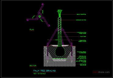 72.Autocad Drawing Of Palm Tree Bracing Details For Free Download
