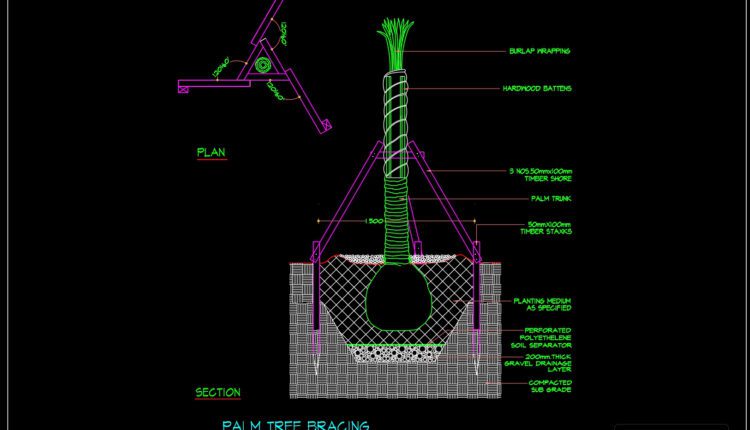 72.Autocad Drawing Of Palm Tree Bracing Details For Free Download ...