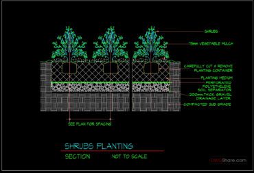 79.Autocad Drawing Of Shrubs Planting Details For Free Download
