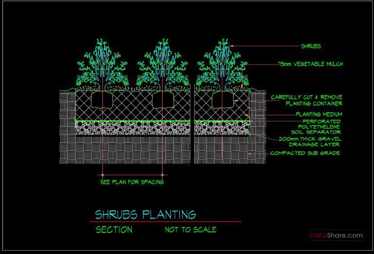 79.Autocad Drawing Of Shrubs Planting Details For Free Download