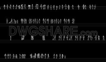 19.Wedding Hall Layout Plan and Elevations CAD