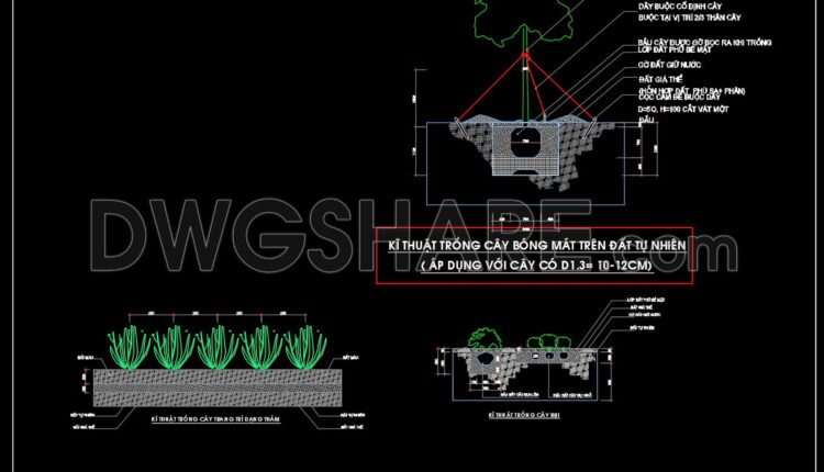 111.Autocad Drawings Of technical drawings for urban tree planting For ...