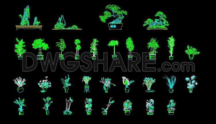38.Autocad drawings of various types of bonsai trees - Free Cad Blocks ...