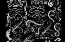 38.Autocad drawings of various types of bonsai trees