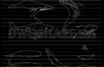 82.Autocad Drawings Of Compound Wall Layout And Details For Download