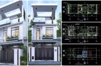 38.Autocad drawings of various types of bonsai trees