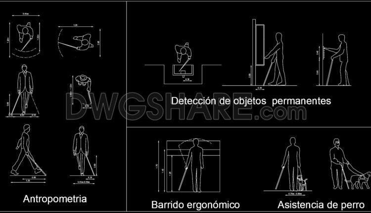 101. Antropometria no videntes in detail CAD drawing - Free Cad Blocks ...