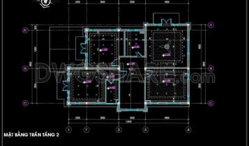 Private University Plan and Elevation AutoCAD File DWG
