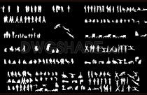 49. Free download CAD blocks of plan-view trees, clearly named ...